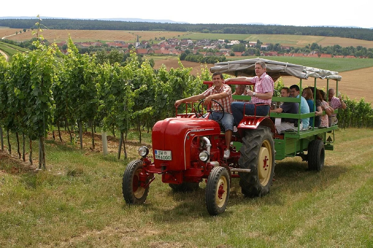 Planwagenfahrt durch die Weinberge - Das Fränkische Weinland