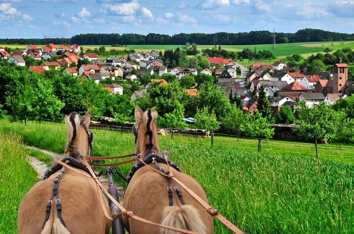 Reiten im Reitverein Wertheim - Das Fränkische Weinland