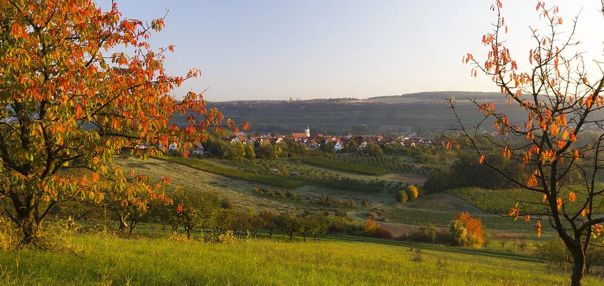 Kulturweg „Winterhausen - Goßmannsdorf - Sommerhausen” - Das Fränkische ...